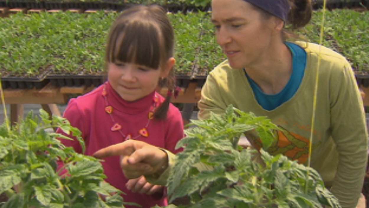 2016 marque les 20 ans du réseau des fermiers de famille | Radio-Canada