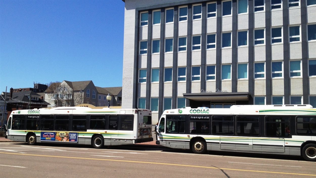 Moncton s'apprête à renouveler sa flotte d'autobus | Radio-Canada