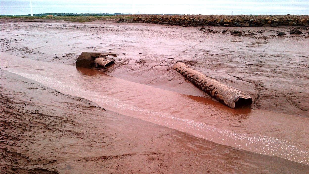 Plaidoyer pour un nouvel aboiteau à Amherst | Radio-Canada