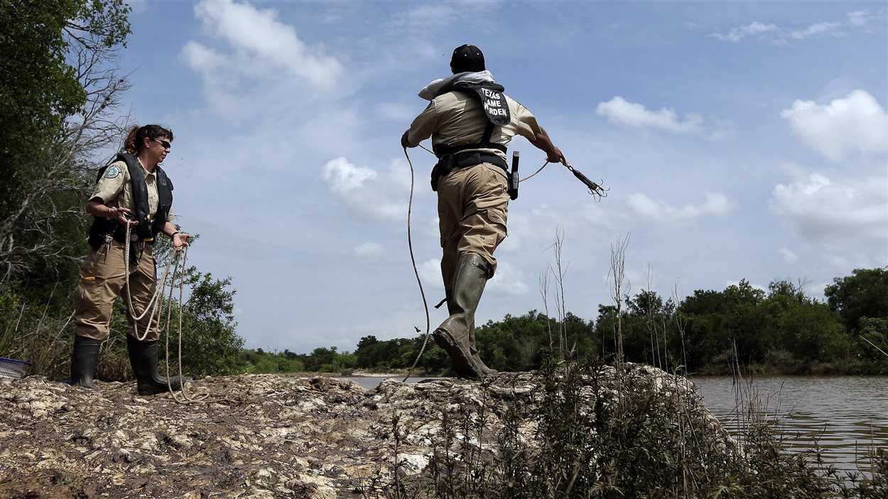 Texas : l'adolescent emporté par les eaux est retrouvé | Radio-Canada