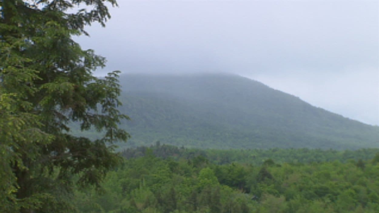 Parc national du Mont-Orford : travaux terminés dans le secteur du lac ...