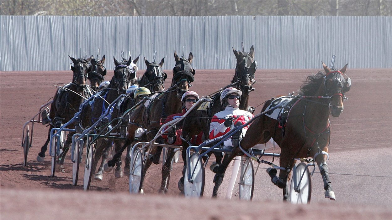Courses de chevaux : de l’espoir à Lakeshore | Radio-Canada