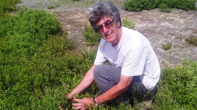 L'Association des producteurs de bleuets sauvages du nord-est souhaite ...