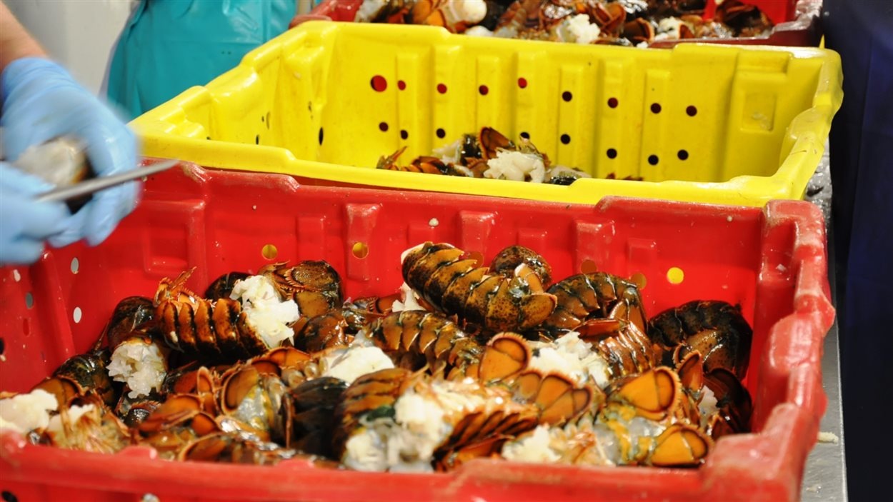 Cap-sur-Mer : nouveaux investisseurs recherchés | Radio-Canada