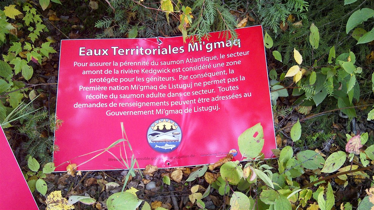 Des Micmacs rappellent aux pêcheurs de ne pas capturer de saumons ...