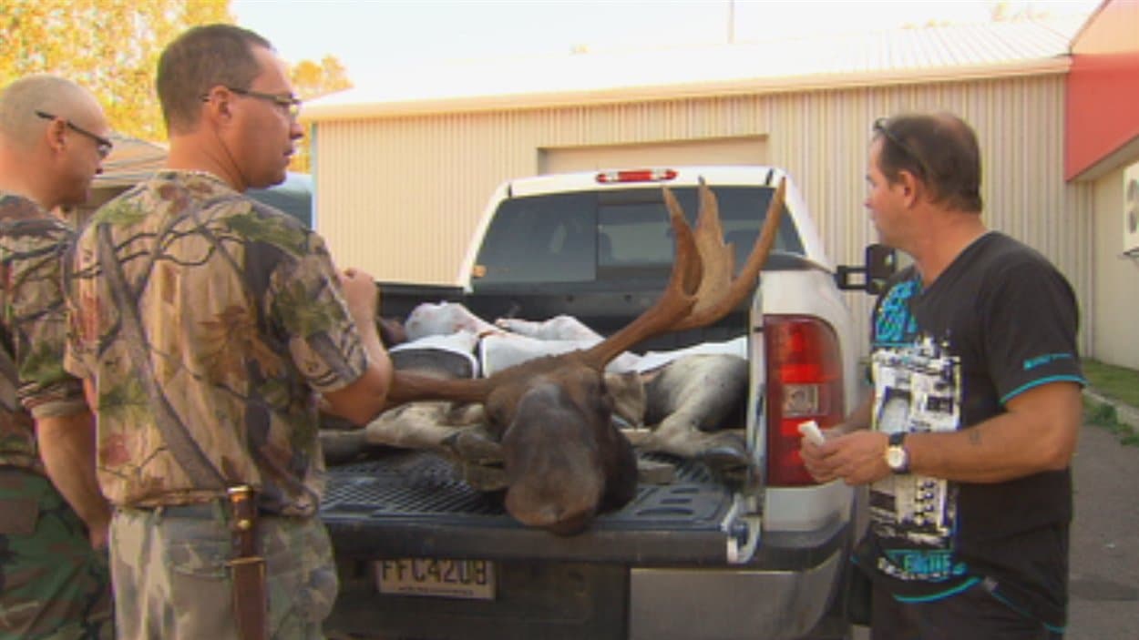 Chasseurs à l'affût | Radio-Canada.ca