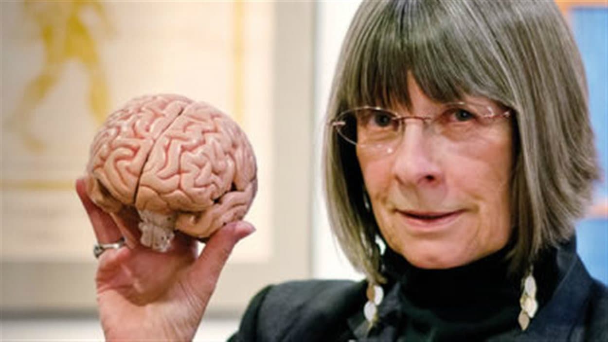 Le Cerveau D'albert Einstein The Tragic Story Of How Einstein's Brain