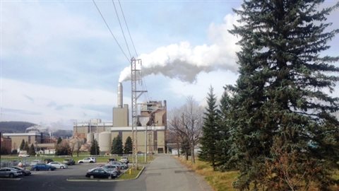 Edmundston: Twin Rivers réduira les odeurs | Radio-Canada