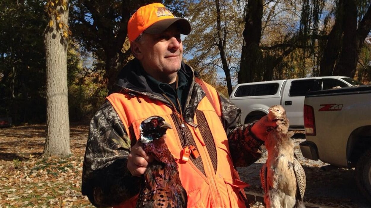 La chasse au faisan moins populaire sur l'île Pelée | Radio-Canada