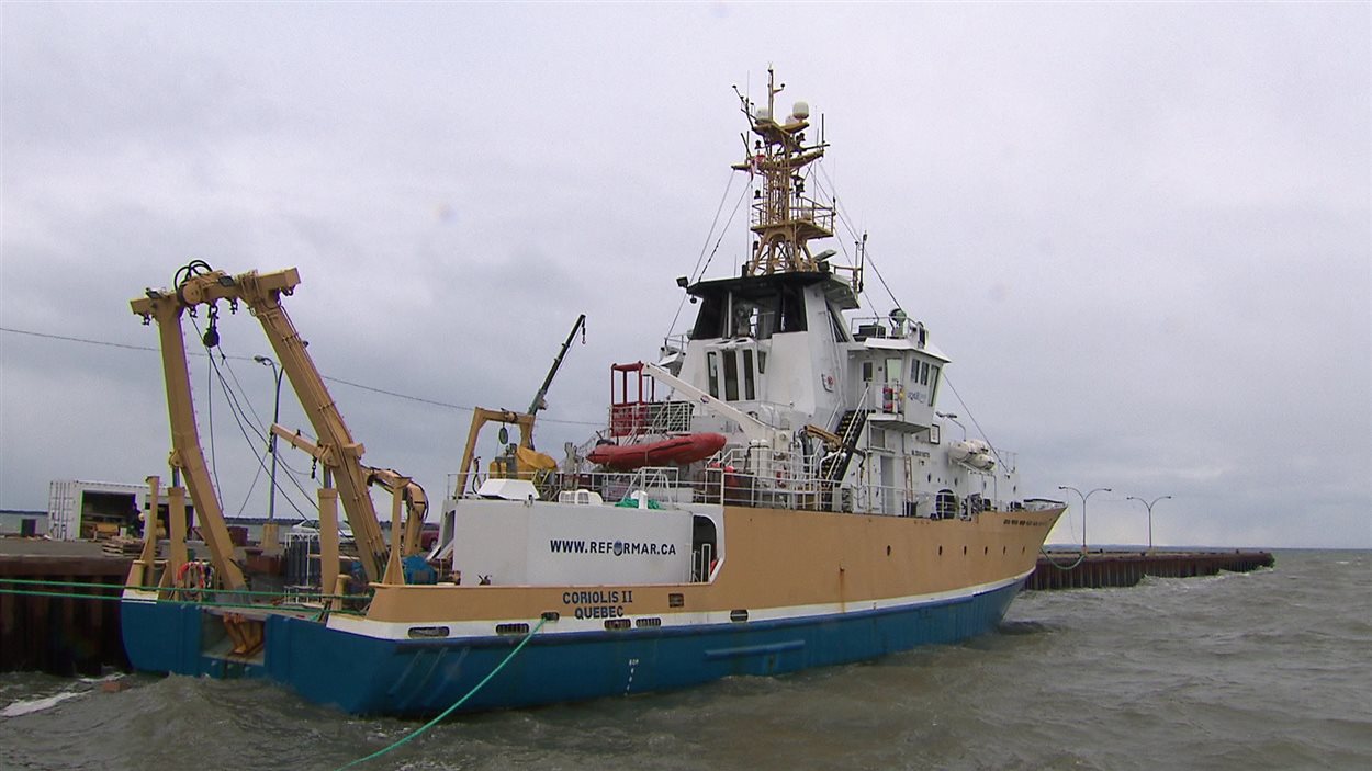 En continu | Science | Radio-Canada | Page 478