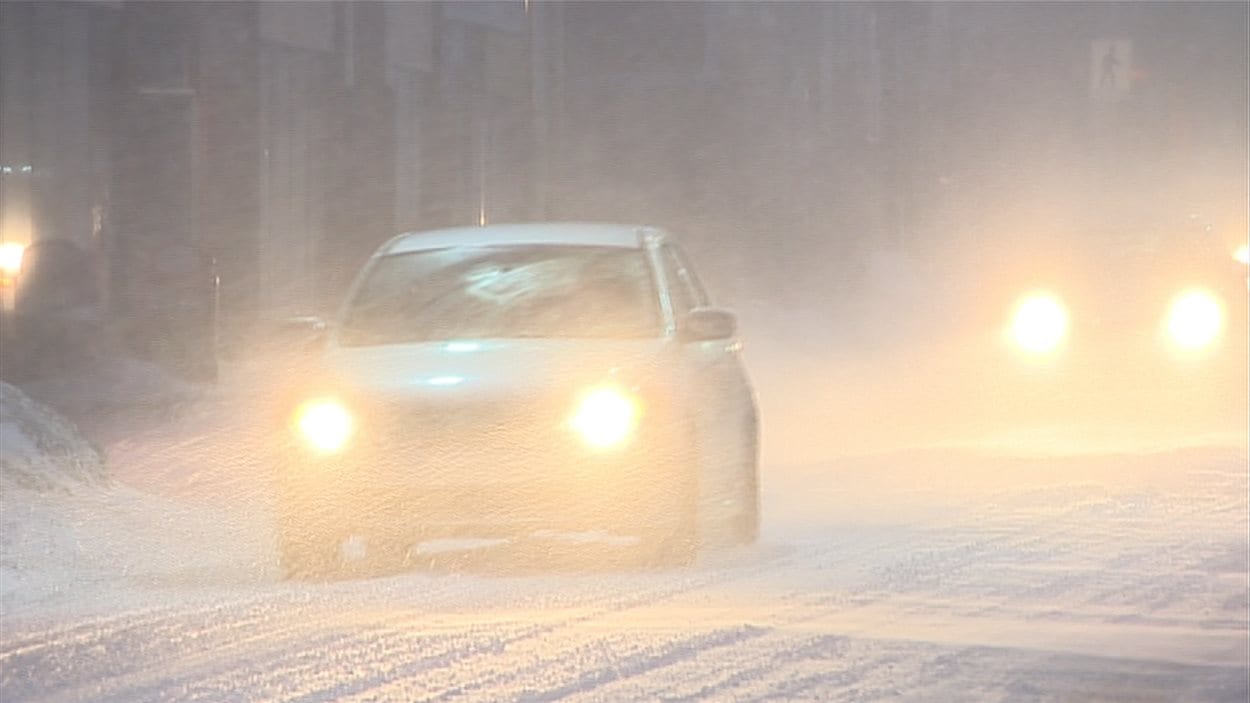 Un blizzard sévit à Terre-Neuve | Radio-Canada