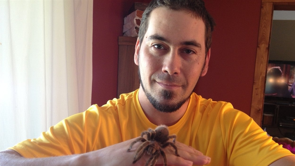 Un entomologiste expose sa passion pour les insectes à Amos | Radio-Canada