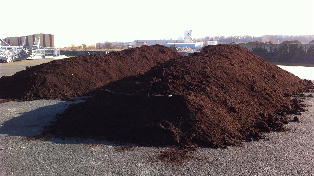 Du raisin du Niagara pour déglacer les routes du Québec | Radio-Canada