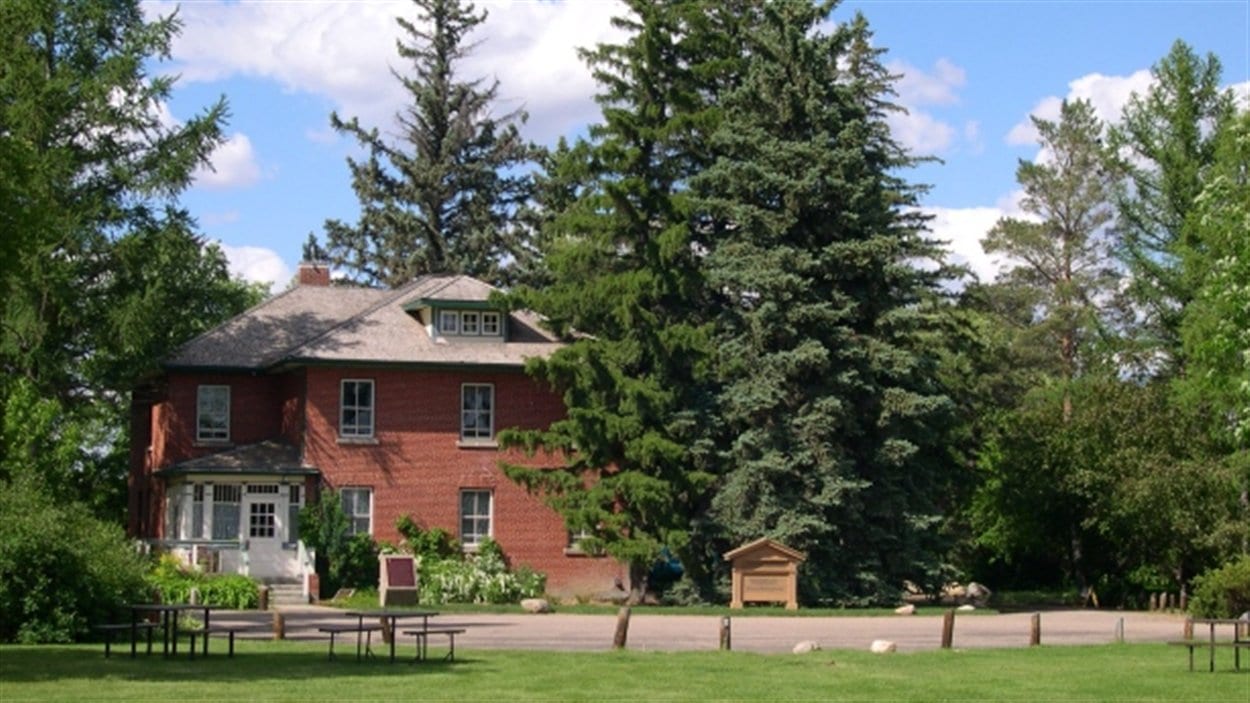 Le site de Forestry Farm menacé par une station cellulaire, selon des ...