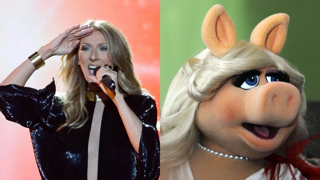 Céline Dion en duo avec Miss Piggy des Muppets | Radio-Canada