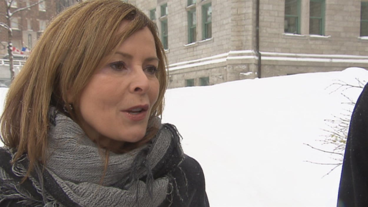 David Lemelin quitte la tête de Démocratie Québec | Radio-Canada