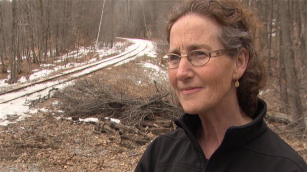 La relance du train Hull-Chelsea-Wakefield de plus en plus incertaine ...