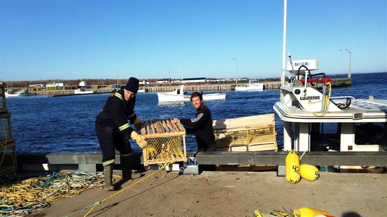 Le prix du homard mécontente les pêcheurs | Radio-Canada