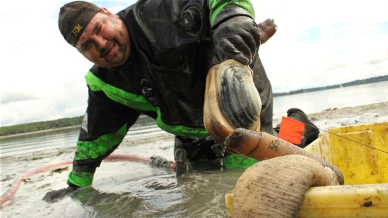 Blocus maritime pour la palourde royale | Radio-Canada