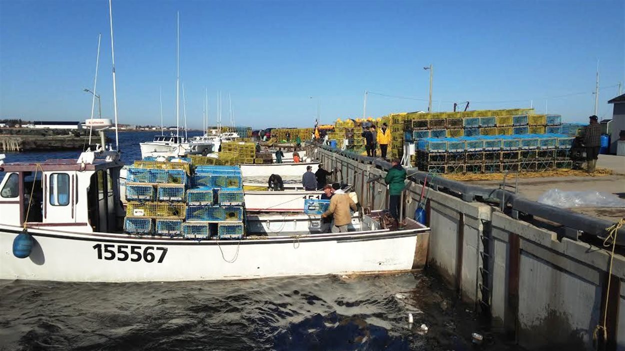 Possible noyade au quai d'Escuminac | Radio-Canada