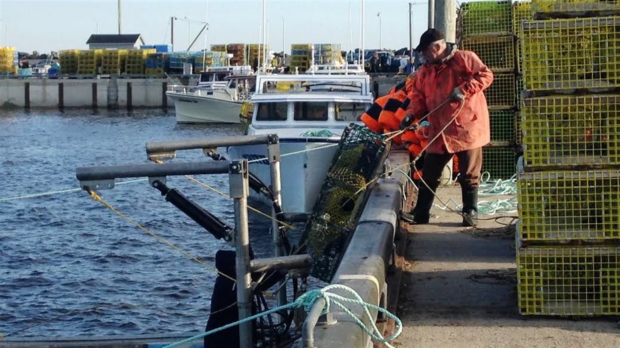 Des centaines de pêcheurs prennent la mer | Radio-Canada