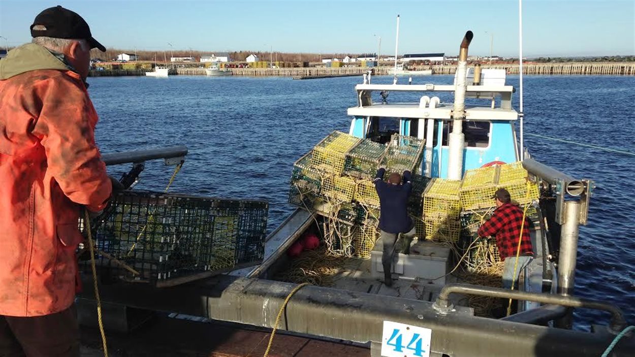Des centaines de pêcheurs prennent la mer | Radio-Canada
