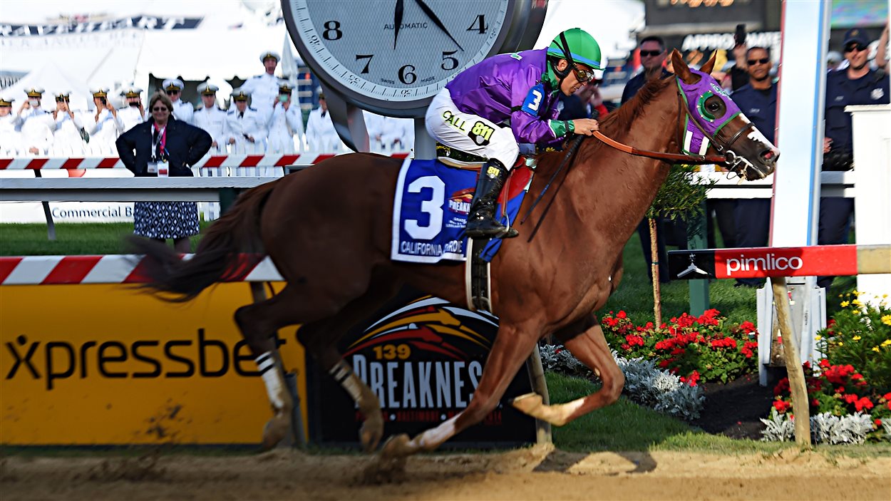 California Chrome au galop vers l'histoire | Radio-Canada