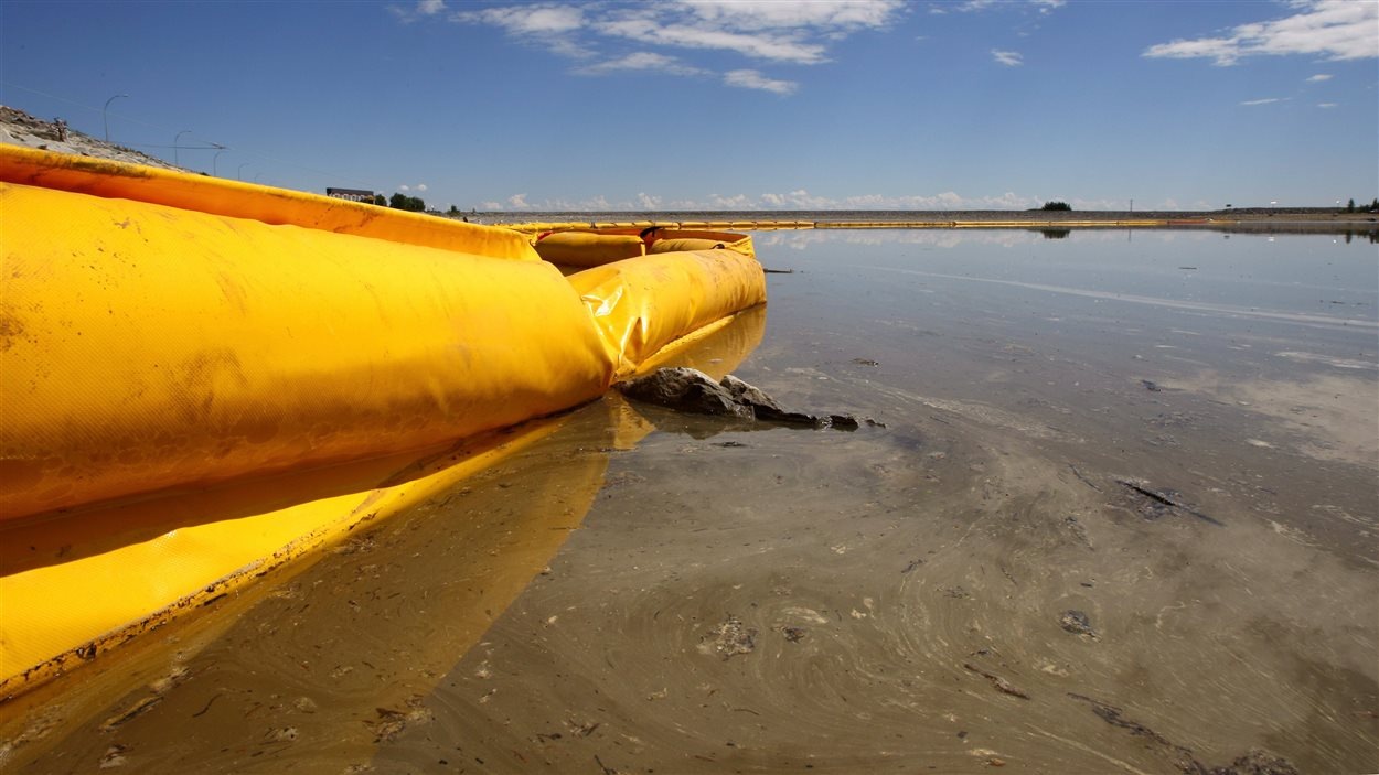 Fuite de pétrole dans la rivière Red Deer : Plains Midstream accusée ...