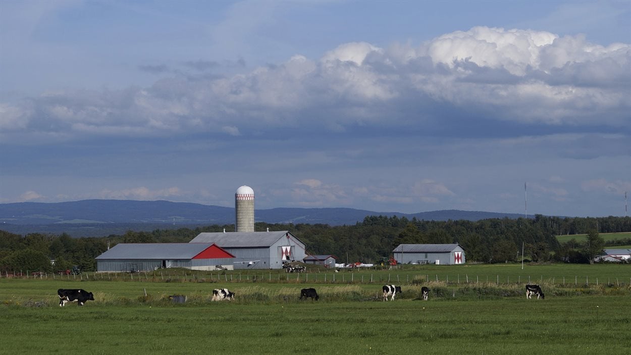 L'endettement des fermes québécoises est élevé, mais pas excessif ...