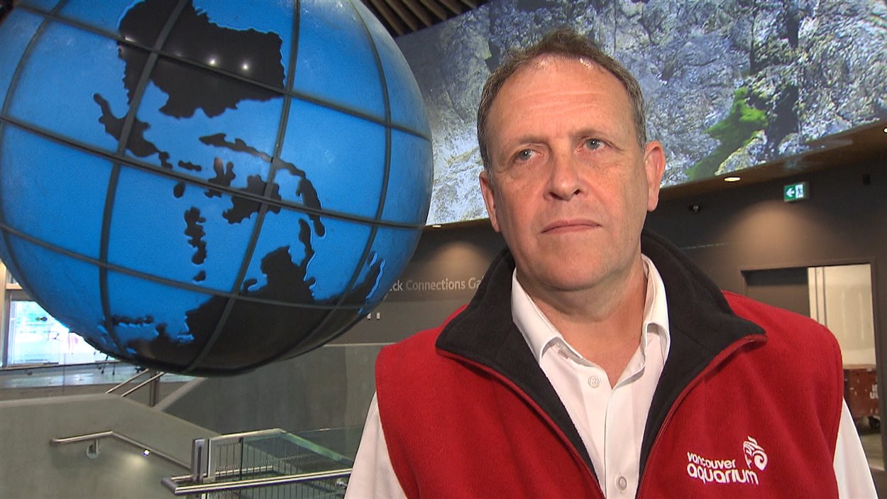 50 000 créatures aquatiques dans un nouvel habitat | Radio-Canada