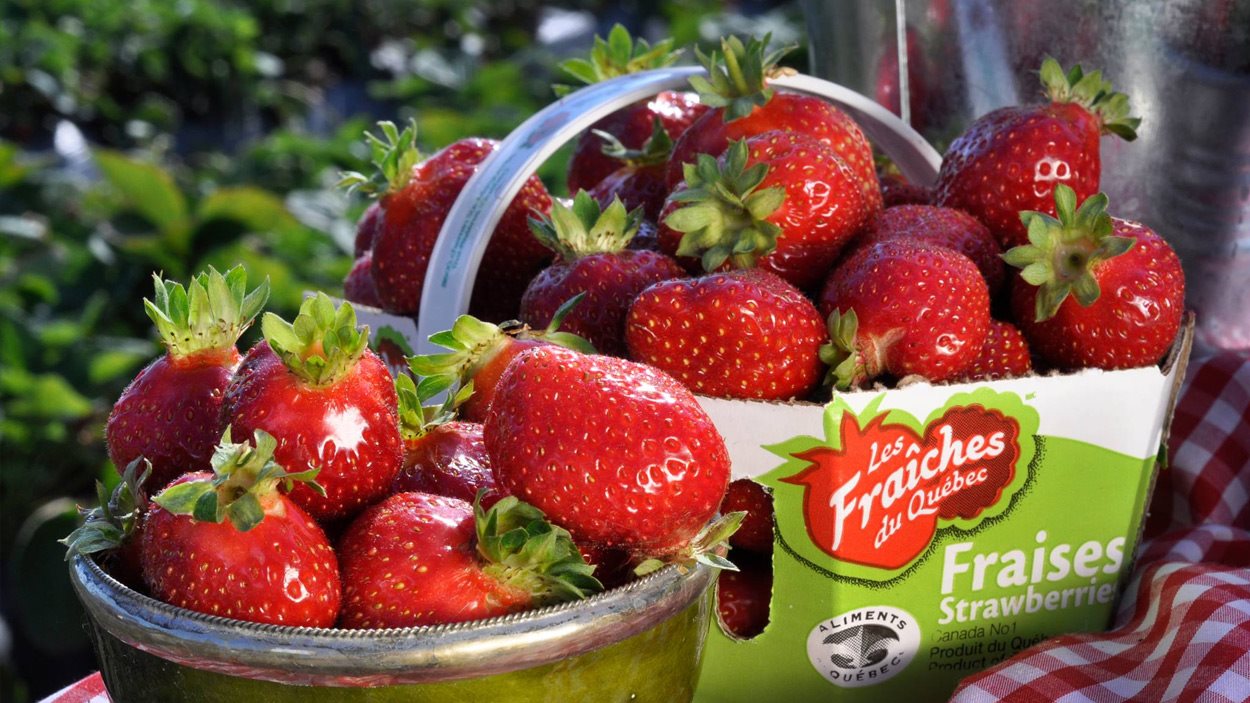 Consommation | Page 242 | ICI Radio-Canada.ca