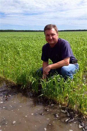 Des espoirs de récoltes sont à l'eau dans les Prairies | Radio-Canada