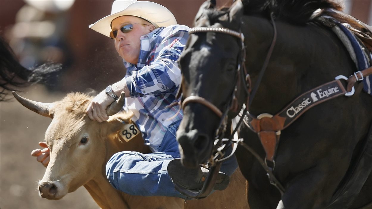 Un cowboy de rodéo à la rescousse de ses chevaux | Radio-Canada