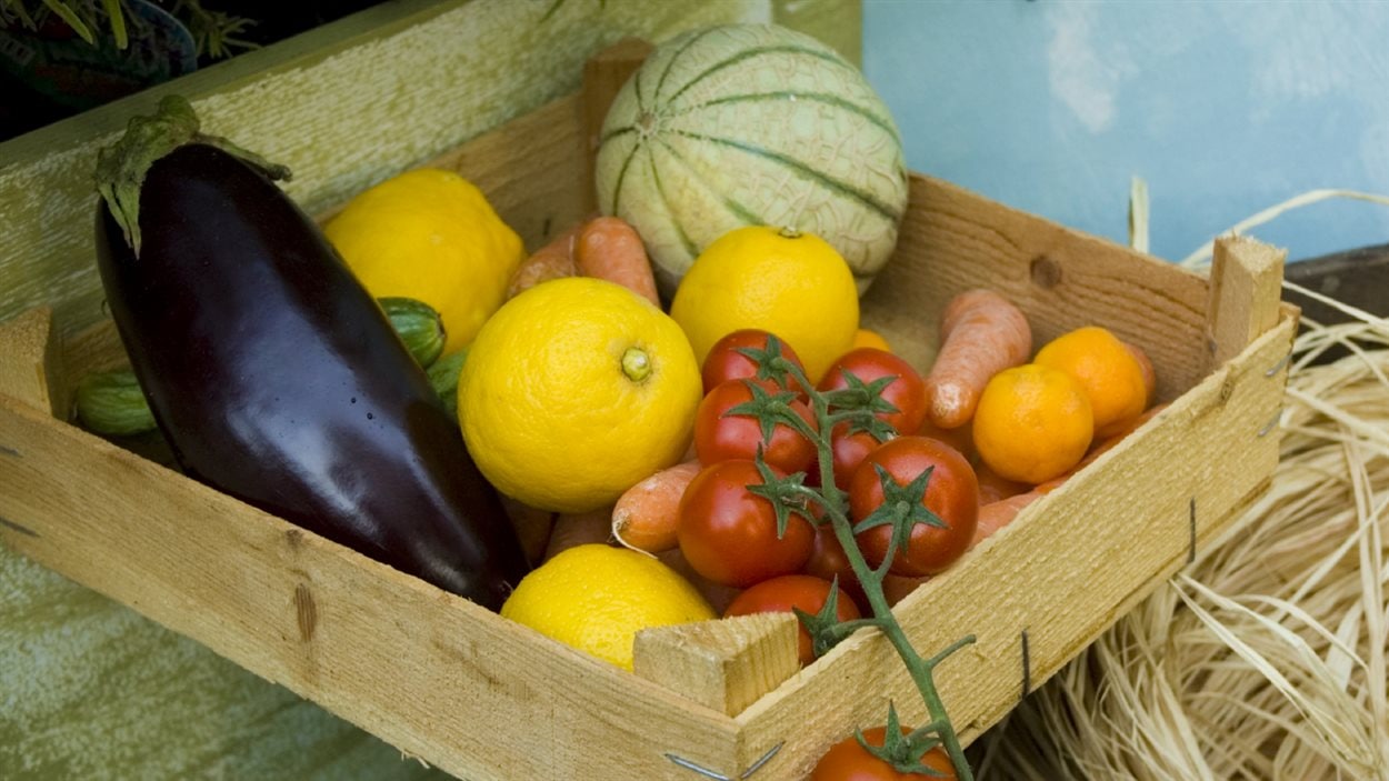 Relève en agriculture : des fermes plus petites et biologiques | Radio ...