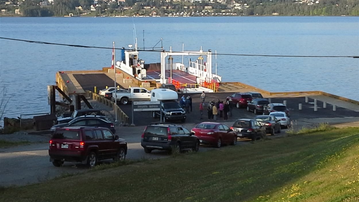 Le Corégone est de retour | Radio-Canada