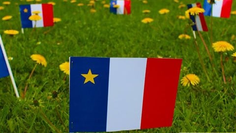 Le français et la fierté acadienne aux États-Unis | Radio-Canada