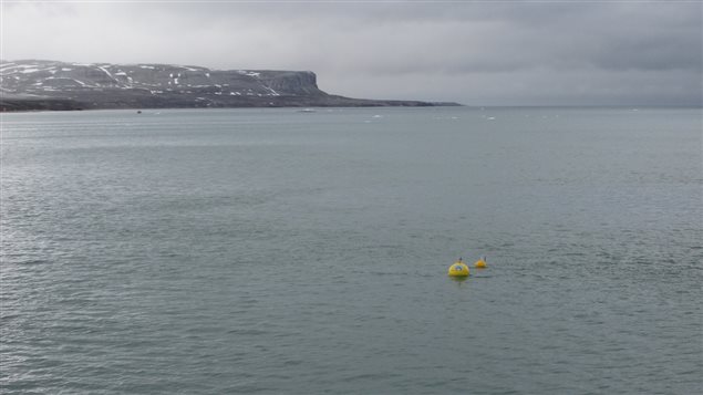 Asia at the Poles – Spotlight: India – RCI | English