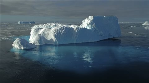 La face cachée de l'iceberg | Radio-Canada