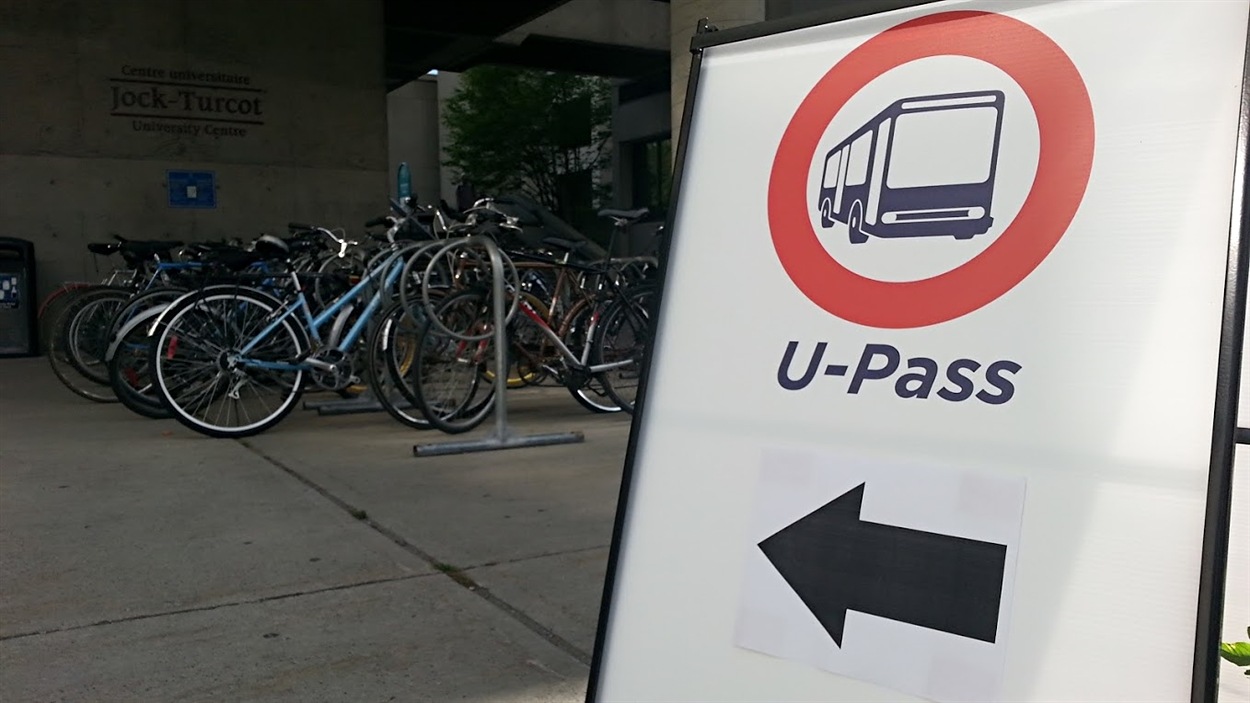 Les étudiants du Collège Algonquin disent oui à la U-Pass | Radio-Canada