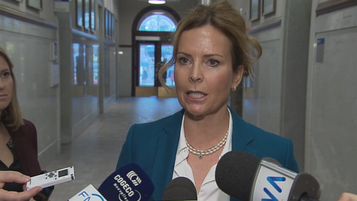 Anne Guérette exige des excuses du promoteur de l'îlot Esso | Radio-Canada