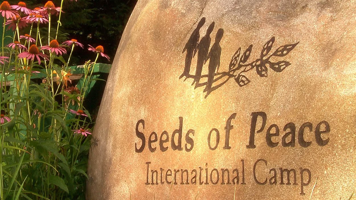 Un camp pour semer la paix entre Israéliens et Palestiniens | Radio-Canada
