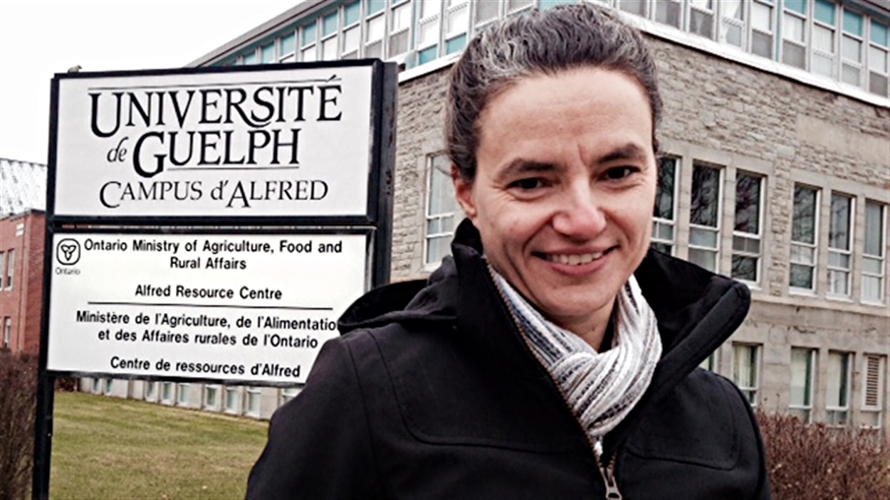 Le Collège d'Alfred en attente de propositions pour sa survie | Radio ...