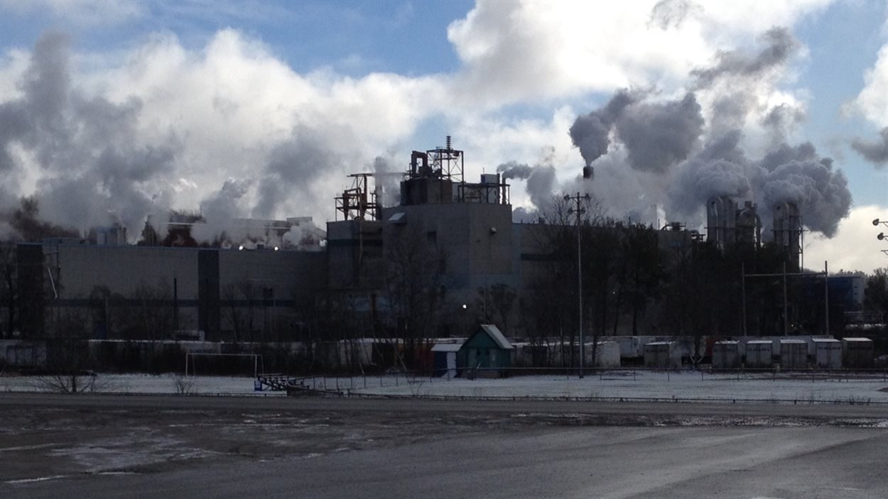 Industrie forestière : Québec autorise la vente de bois rond sans ...