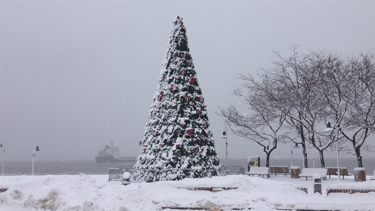 Images de la neige au centre-ville de Trois-Rivières | Radio-Canada
