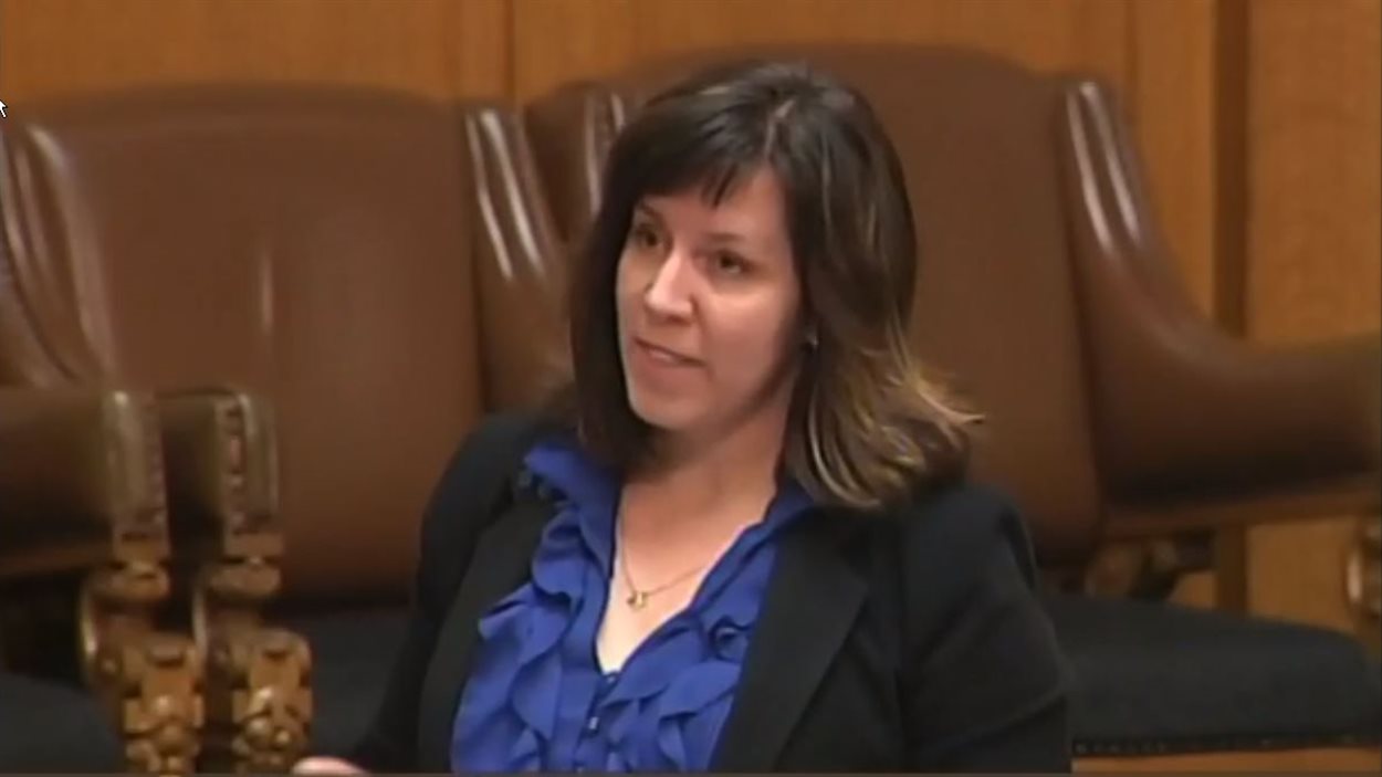 Le NPD demande pourquoi les dossiers électroniques ne sont pas prêts ...