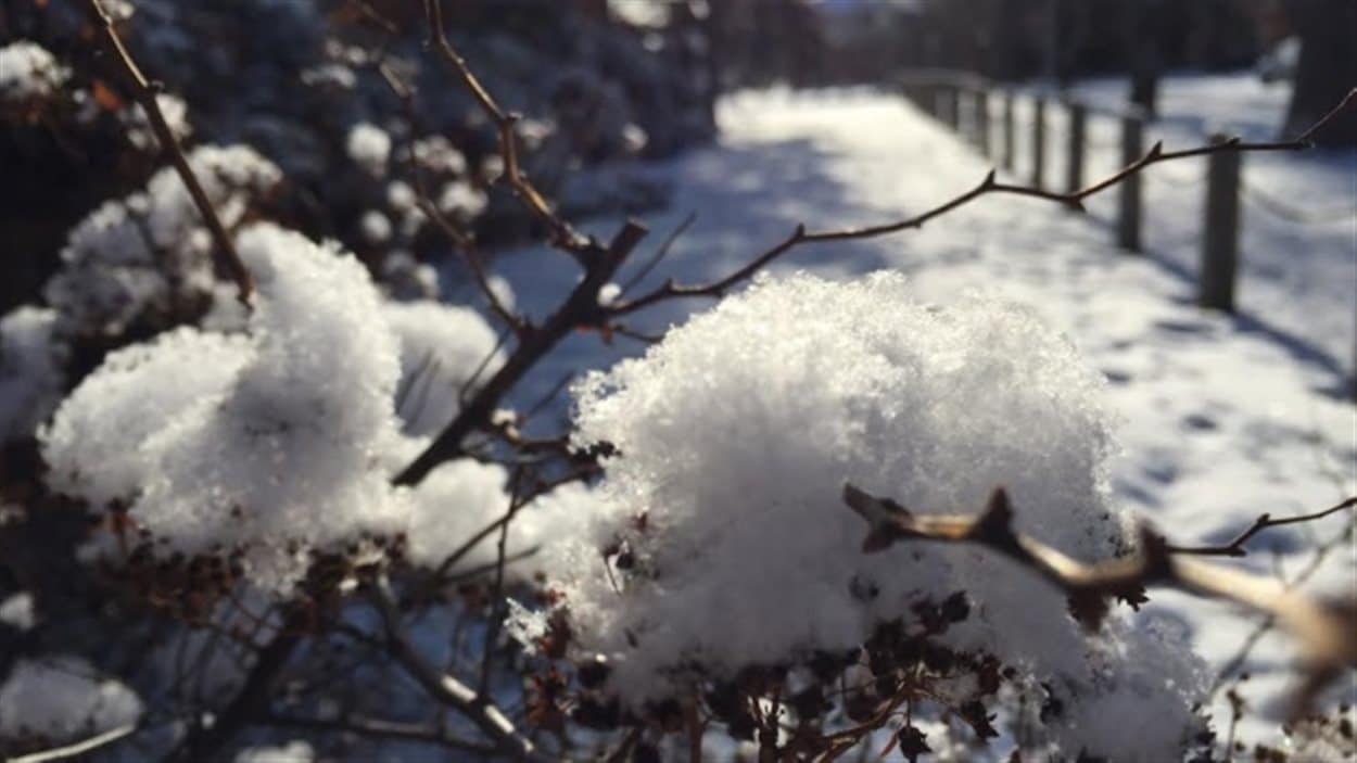 Encore du temps doux, 1 an après le pire hiver en 116 ans | Radio-Canada