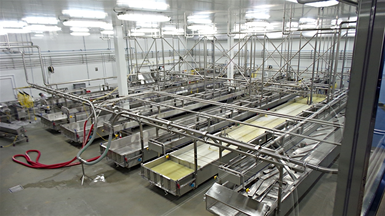 Tel le phénix, la fromagerie St-Albert renaît de ses cendres | Radio-Canada