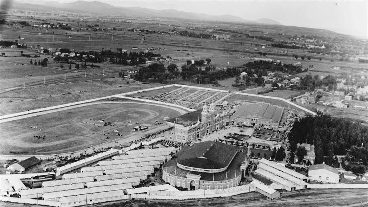 Un Colisée chargé d'histoire | Radio-Canada