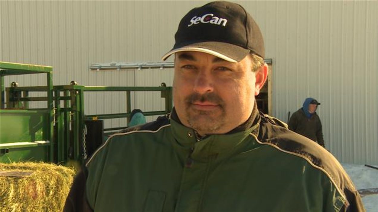 Interdiction du bœuf canadien : des éleveurs peu inquiets | Radio-Canada