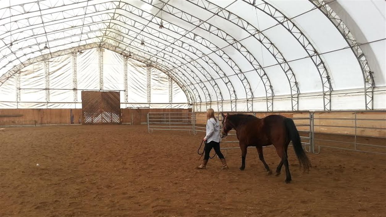 L'équitation : un outil pour les enfants avec un trouble du déficit de ...